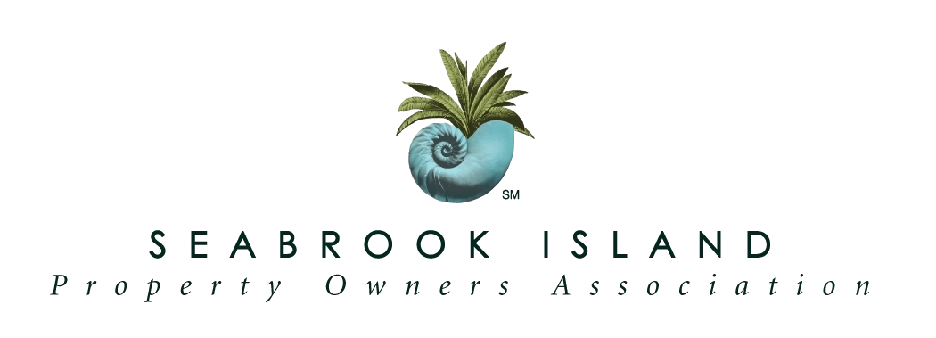 cropped-transparent-logo.png