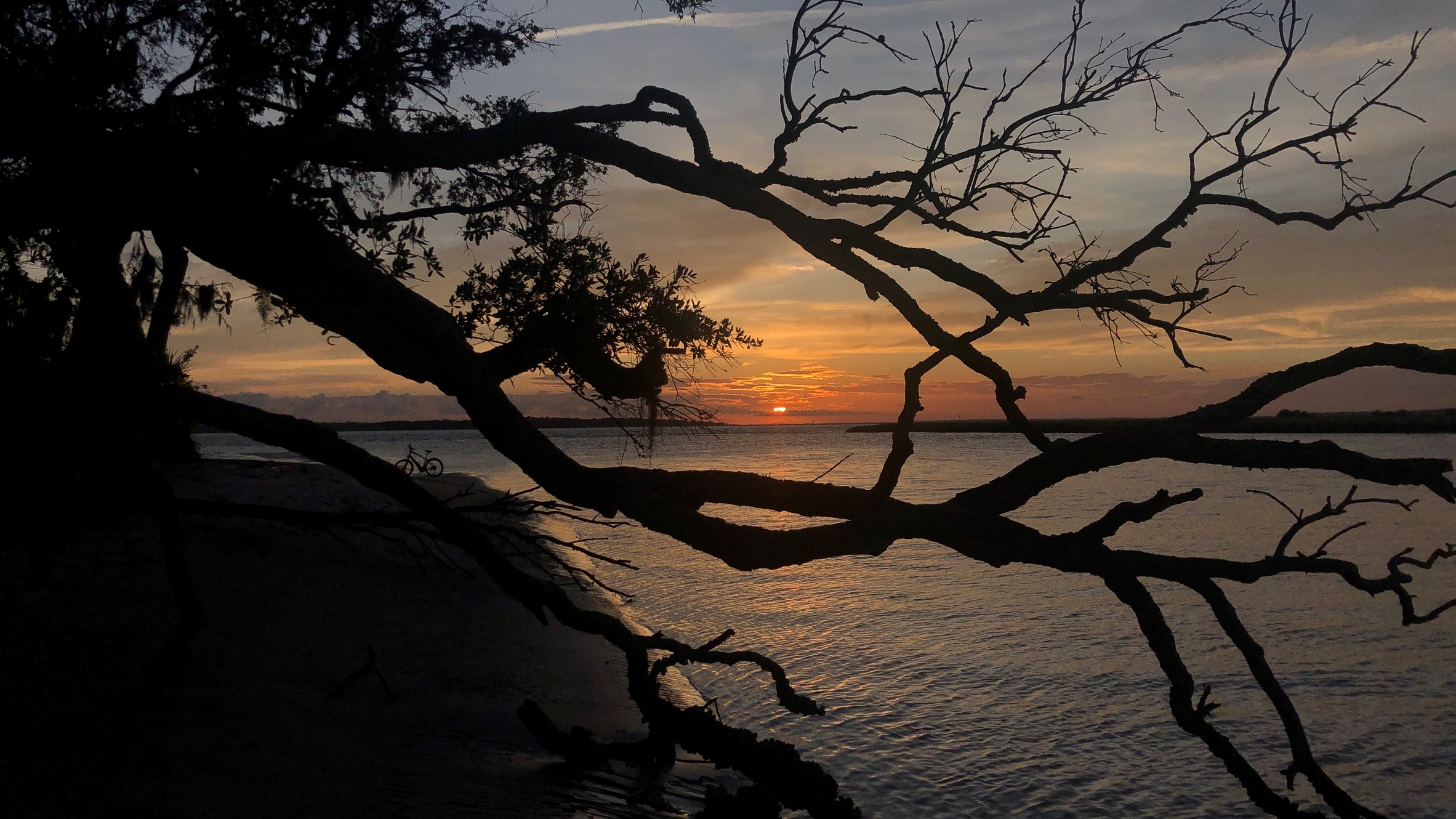Sunset in trees