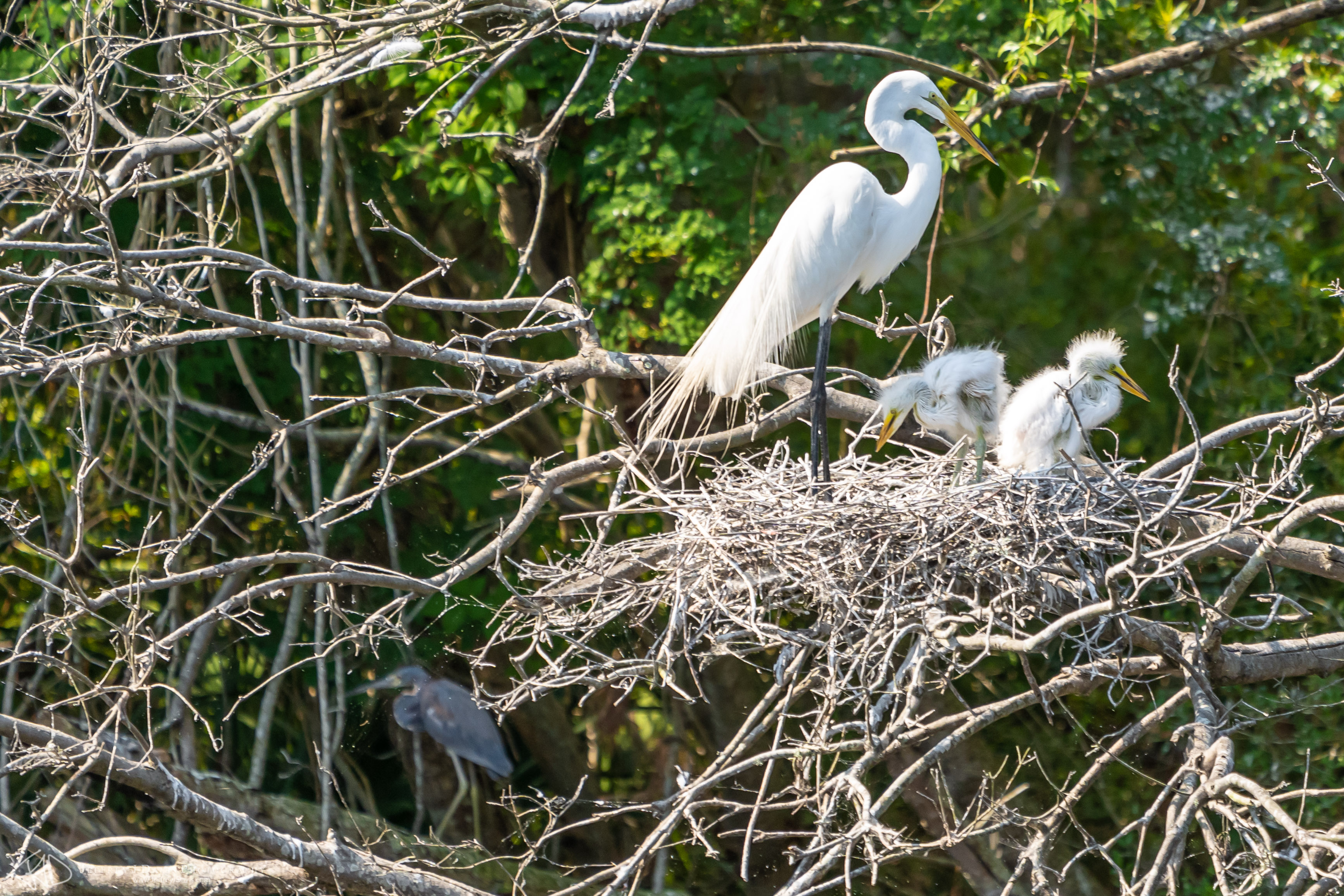 Conservation & Sustainability