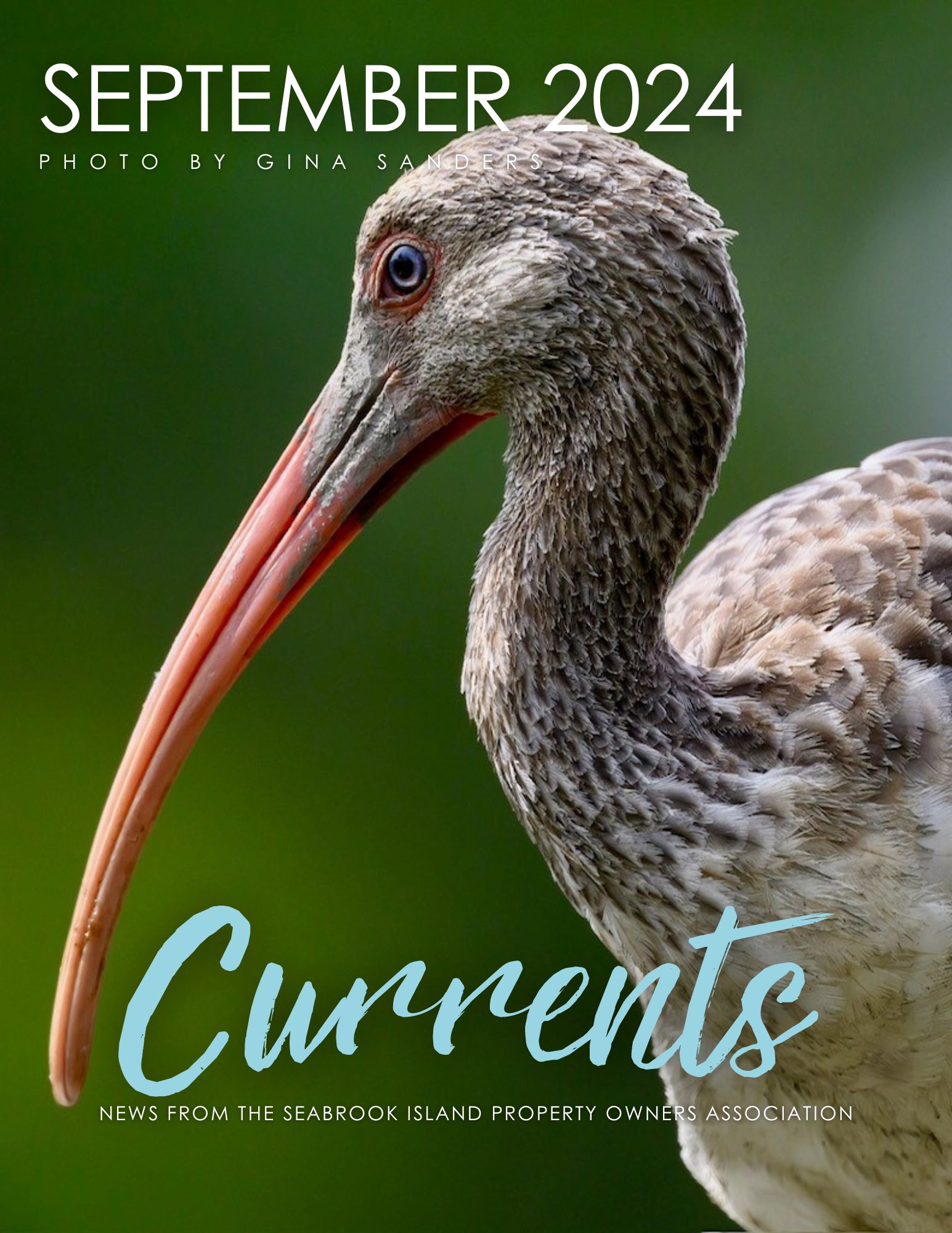 Currents | 2024
