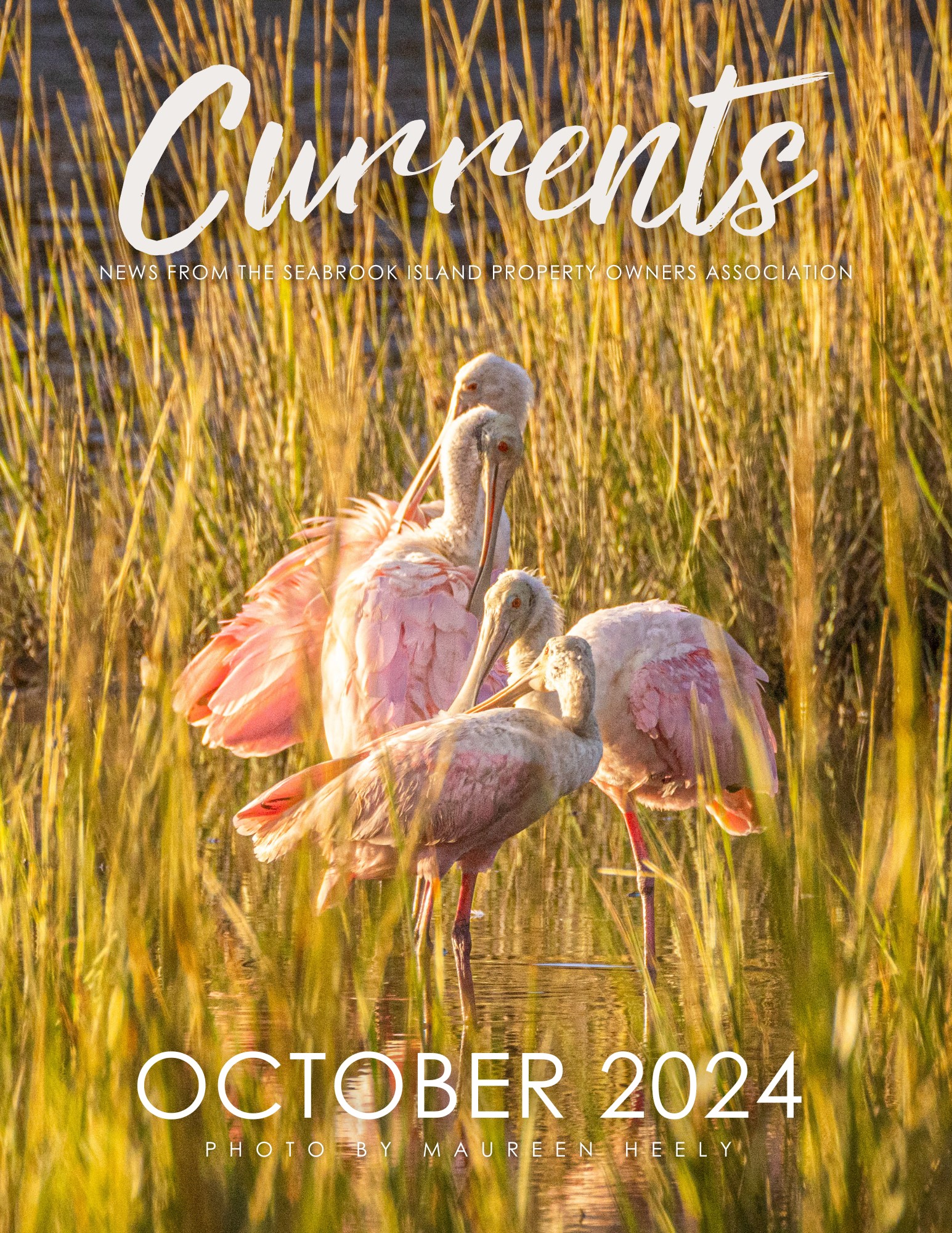 Currents | 2024
